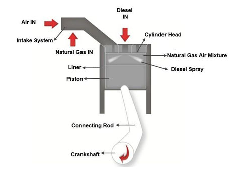Powergen Dual Fuel Conversion Kit - Cummins distributor & supplier